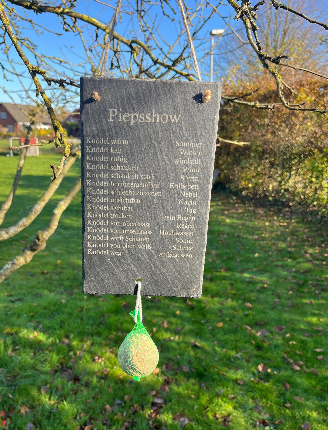 Piepsshow Weather Sign Made of Slate – Funny Bird Feeder Sign With Suet ...