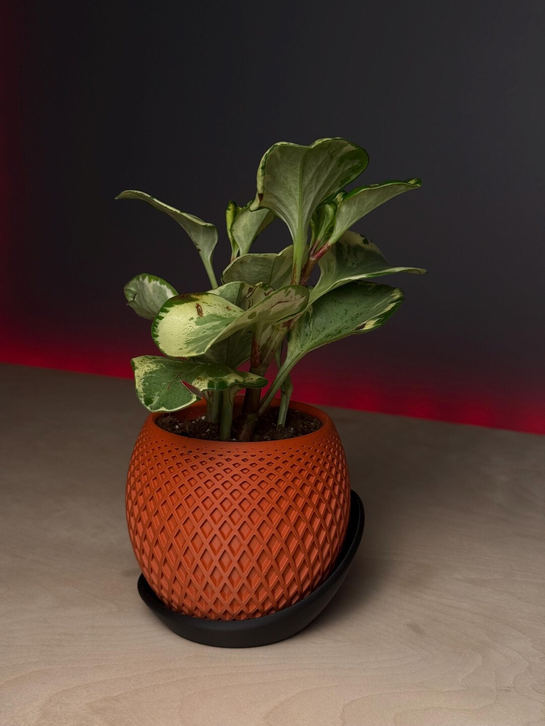 Polygon Planter – 3D Printed Geometric Plant Pot With Drainage Tray ...