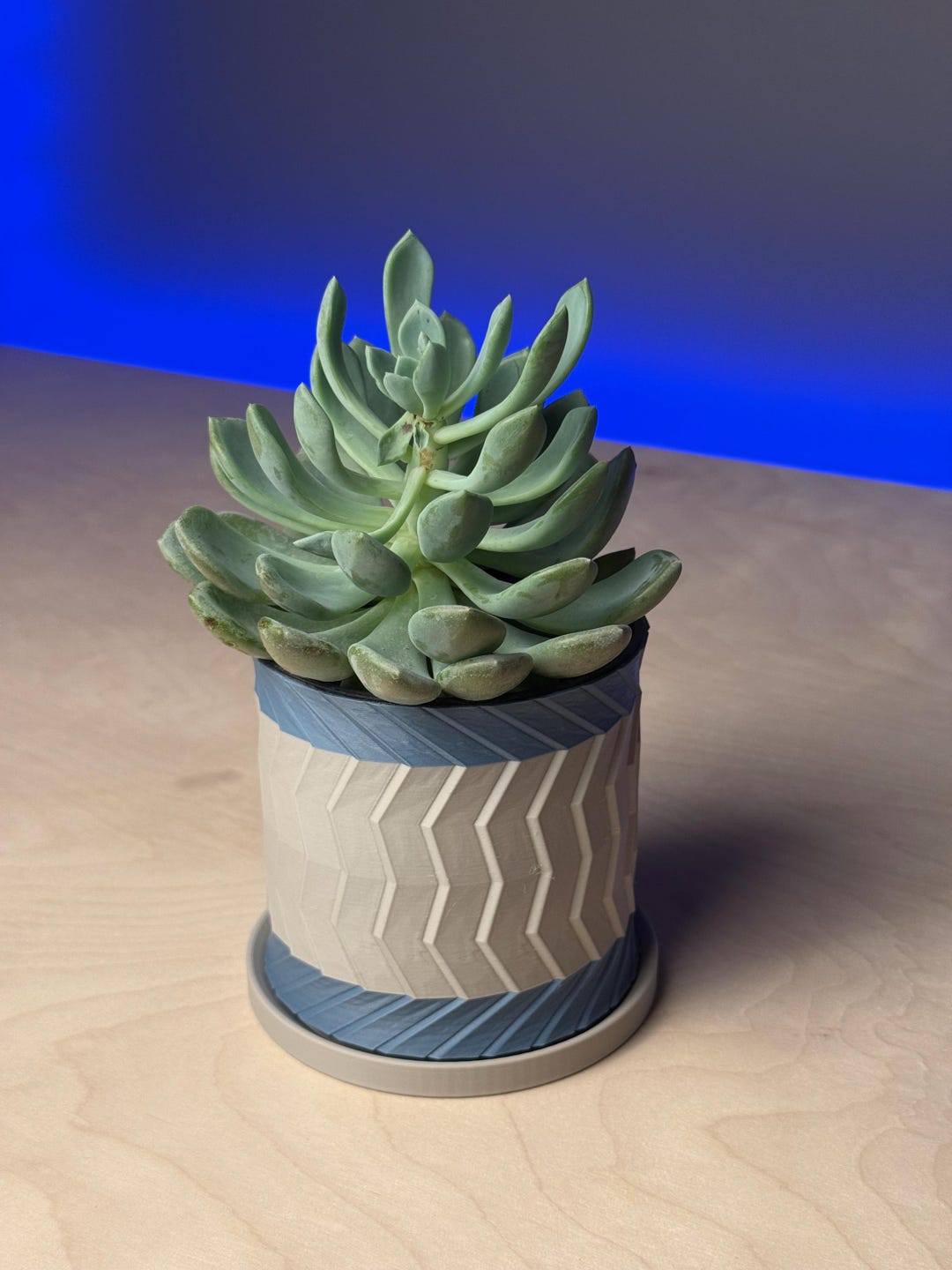 The Ridge Pot – Multicolor – 3D Printed Textured Plant Pot With ...
