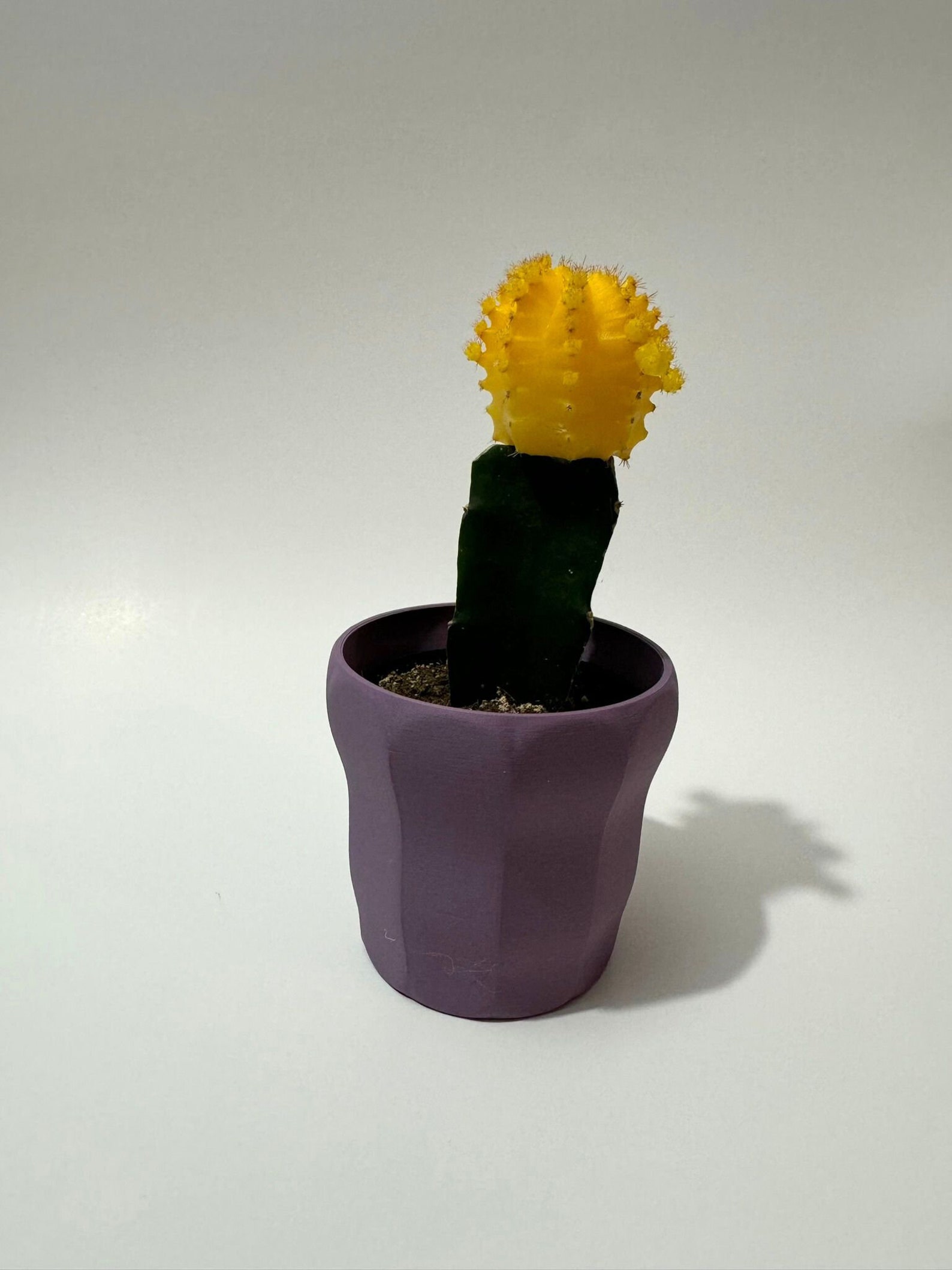 The Cacti Flight - 3D Printed Plant Pots With Drainage Hole and Flight ...