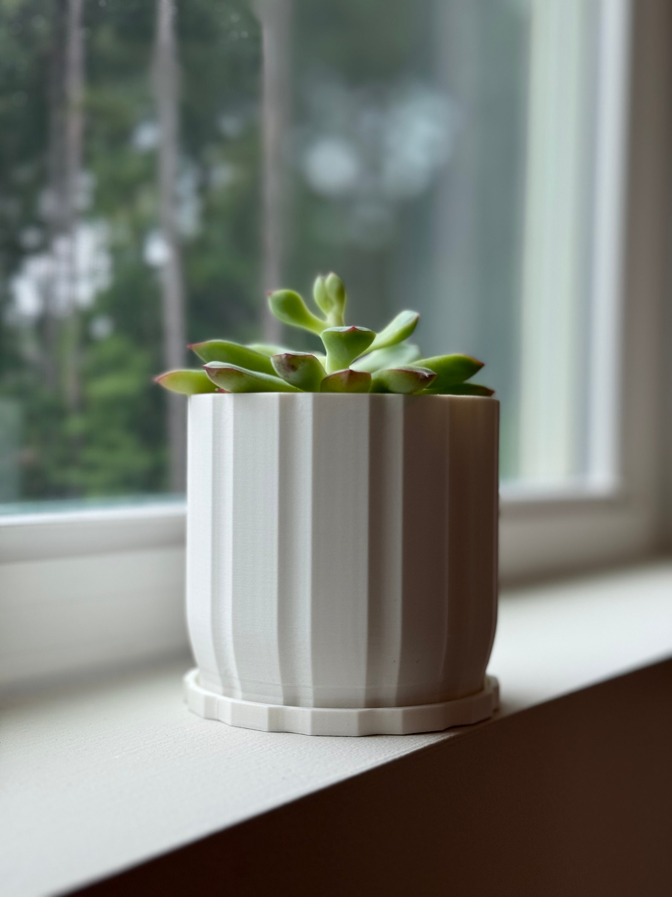 The Small Pot - 3D Printed Plant Pot - Drainage Hole and Matching ...