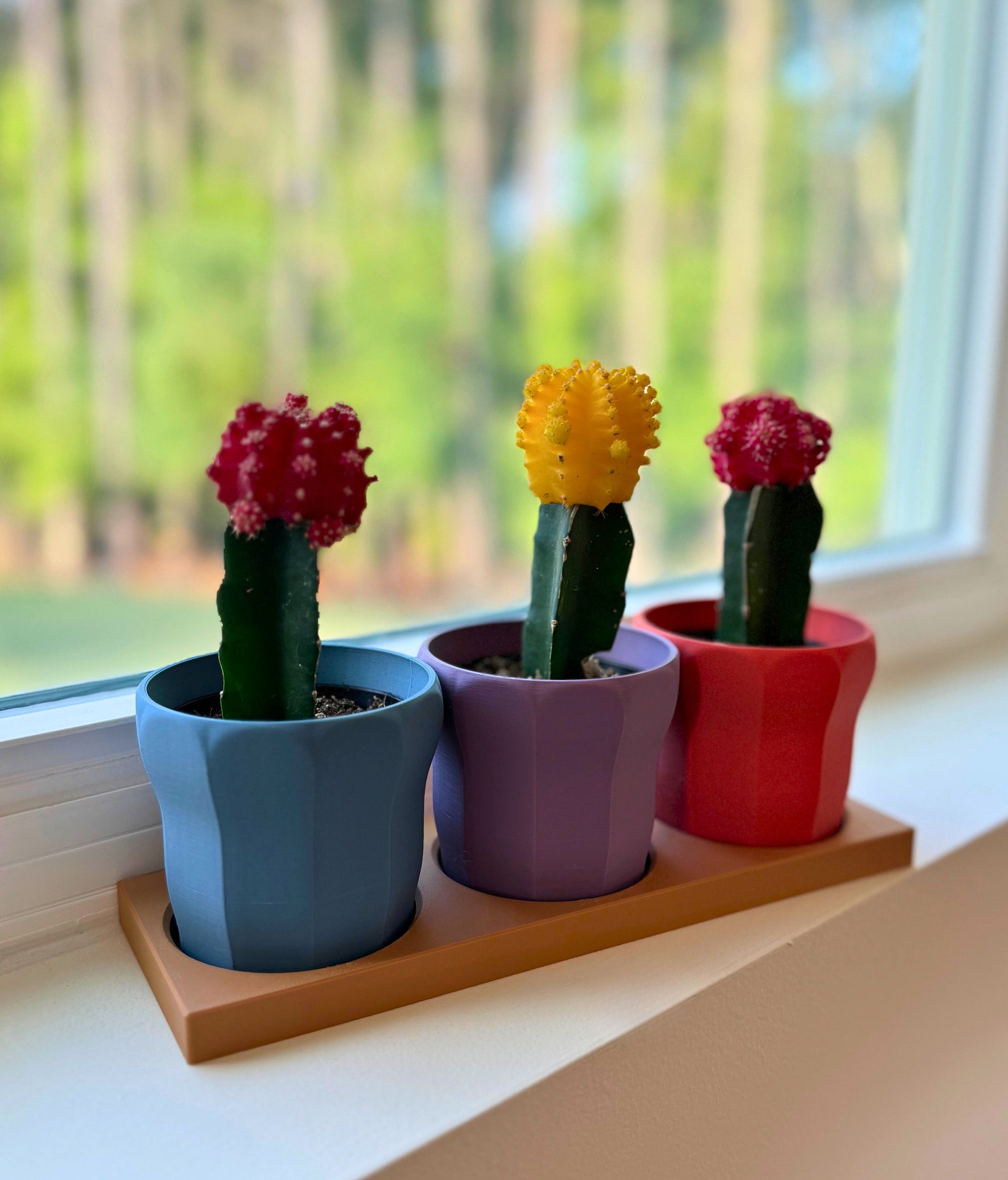 The Cacti Flight - 3D Printed Plant Pots With Drainage Hole and Flight ...