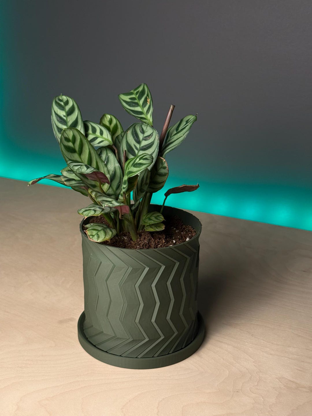 The Ridge Pot – 3D Printed Textured Plant Pot With Magnetic Drain Tray ...