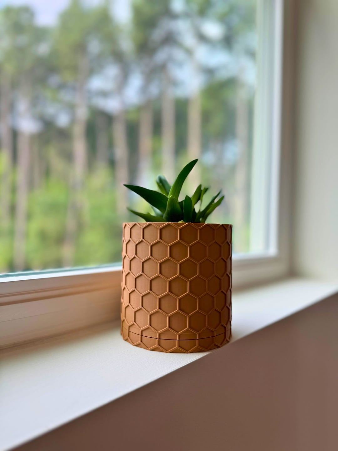 The Hive Pot - 3D Printed Honeycomb Plant Pot W/ Drainage Holes and ...