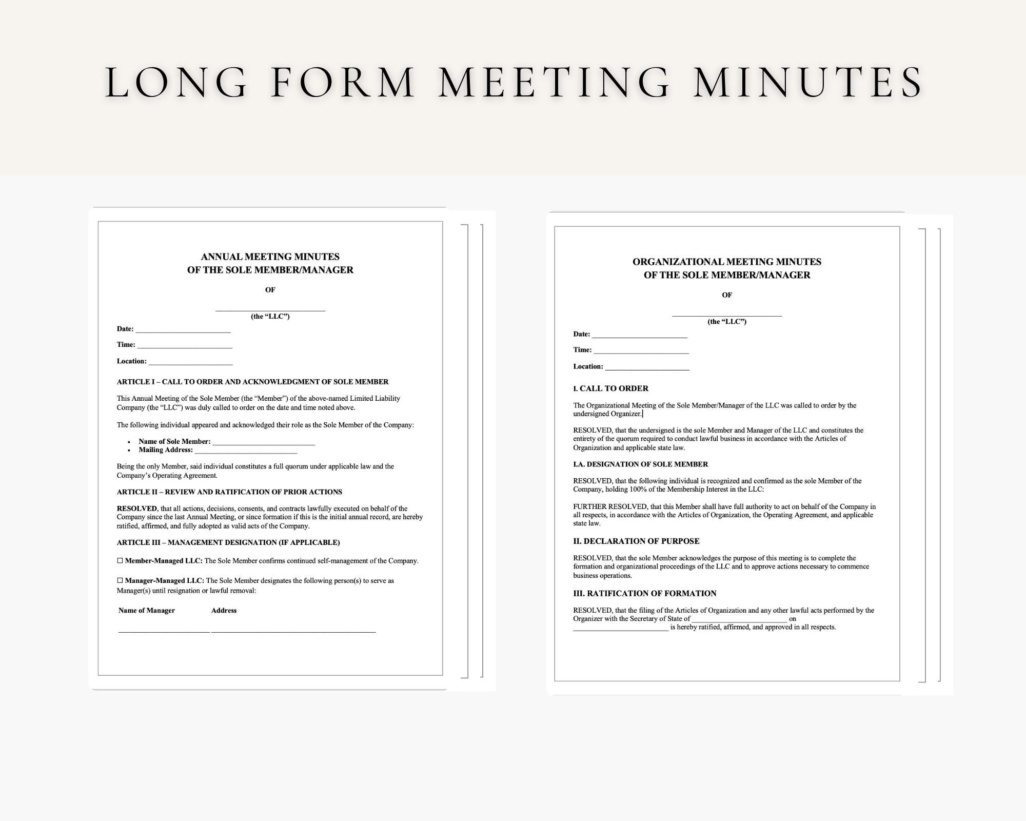 Single Member LLC Meeting Minutes Template | Editable Annual, Initial ...