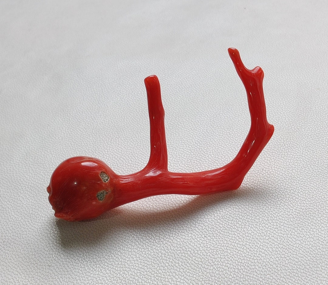 Antique 100% Natural Polished Italian Red Coral Branch Stick, Raw Red ...