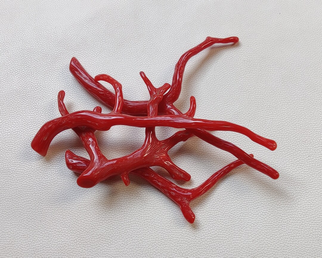 Blood Red Coral Sticks Rough 100% Natural Italian Coral Rough Gemstones ...