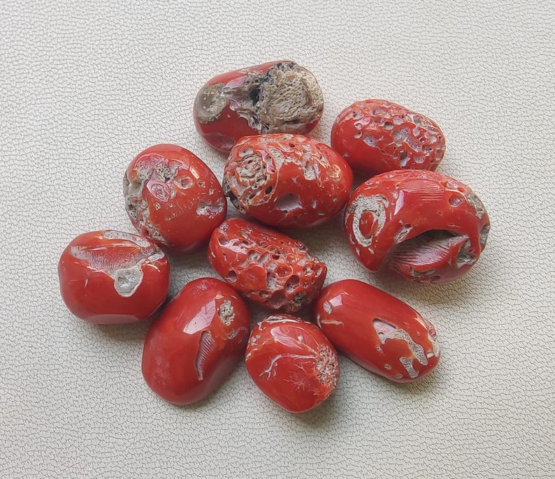 RED CORAL !!! Mediterranean Red Coral Cabochon-old Italian Red Coral ...