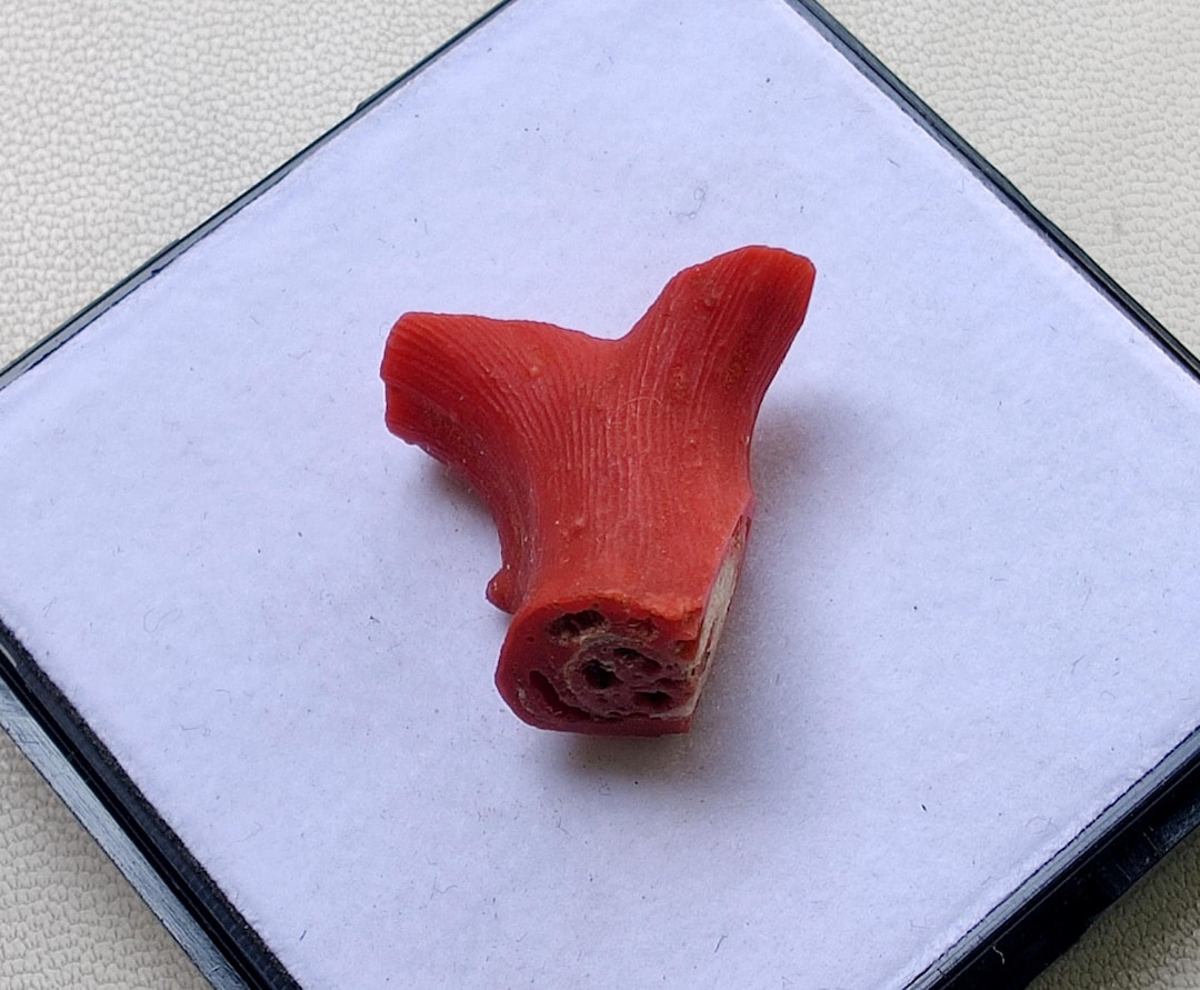Old Coral !! 100% Natural Italian Red Coral Gemstone, Red Coral Tukdi ...
