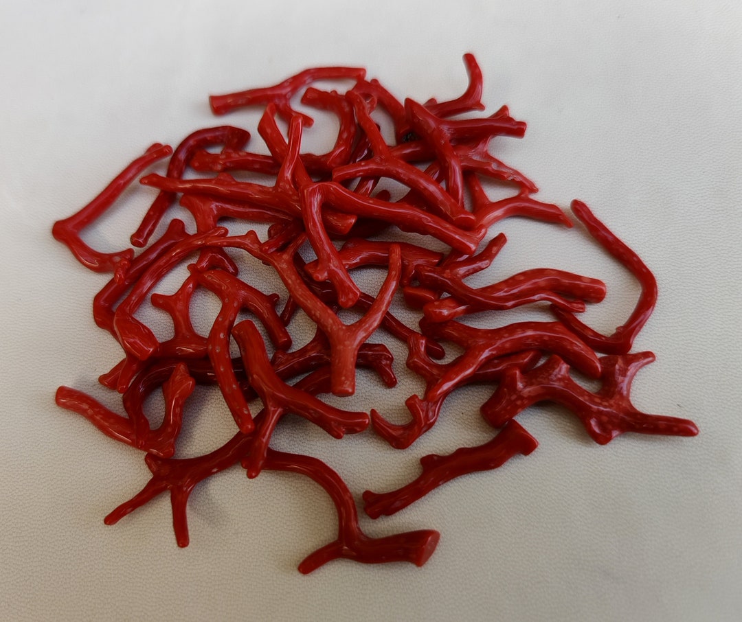 Natural Red Italian Stick Coral Gemstone Sea Coral Polished Stick Lot ...