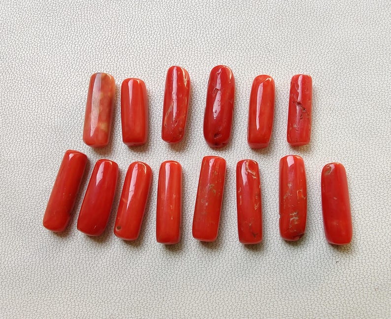 Natural Italy Red Coral Cabochon, 100% Natural Italian Red Coral ...