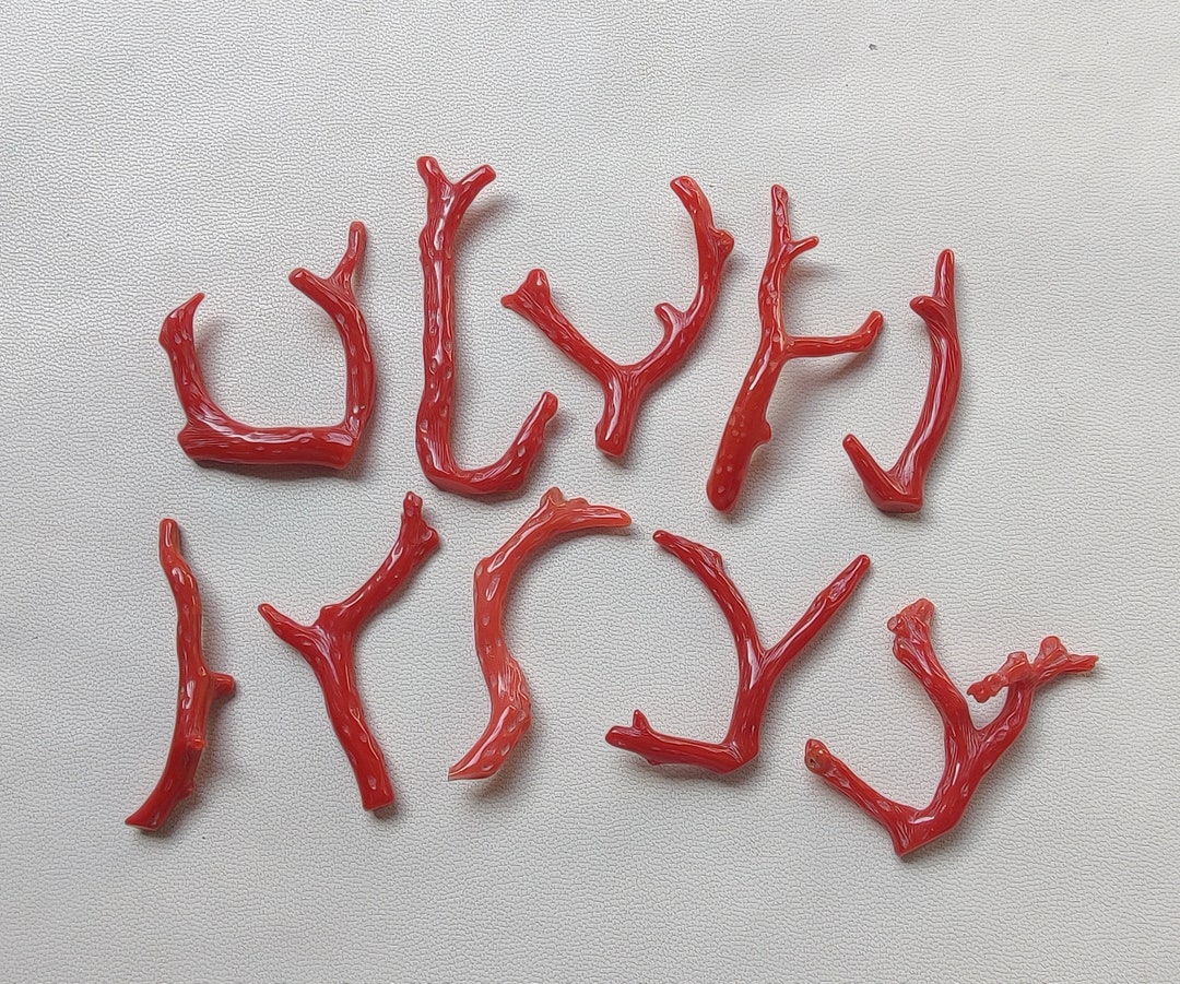 Blood Red Coral Sticks Rough 100% Natural Italian Coral Rough Gemstones ...