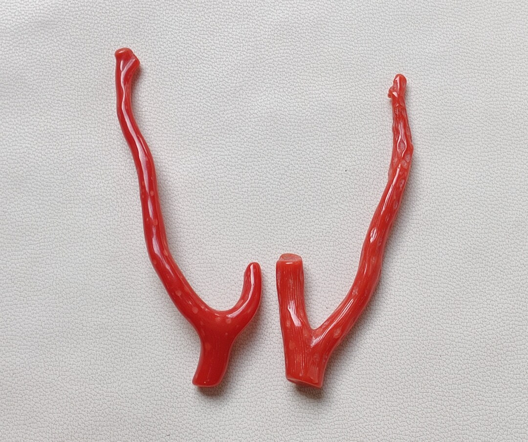 Red Coral Tree !! Italian Red Coral Stick Gemstone, Italy Red Coral ...