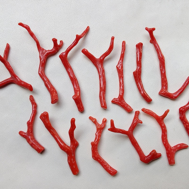 Coral Branch - Etsy