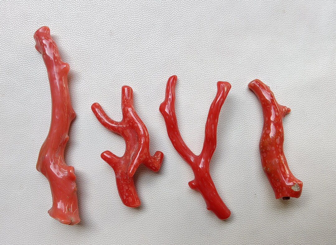 99 Carat 4 Piece of Italian Coral Branch | Coral Stick | Red Coral ...