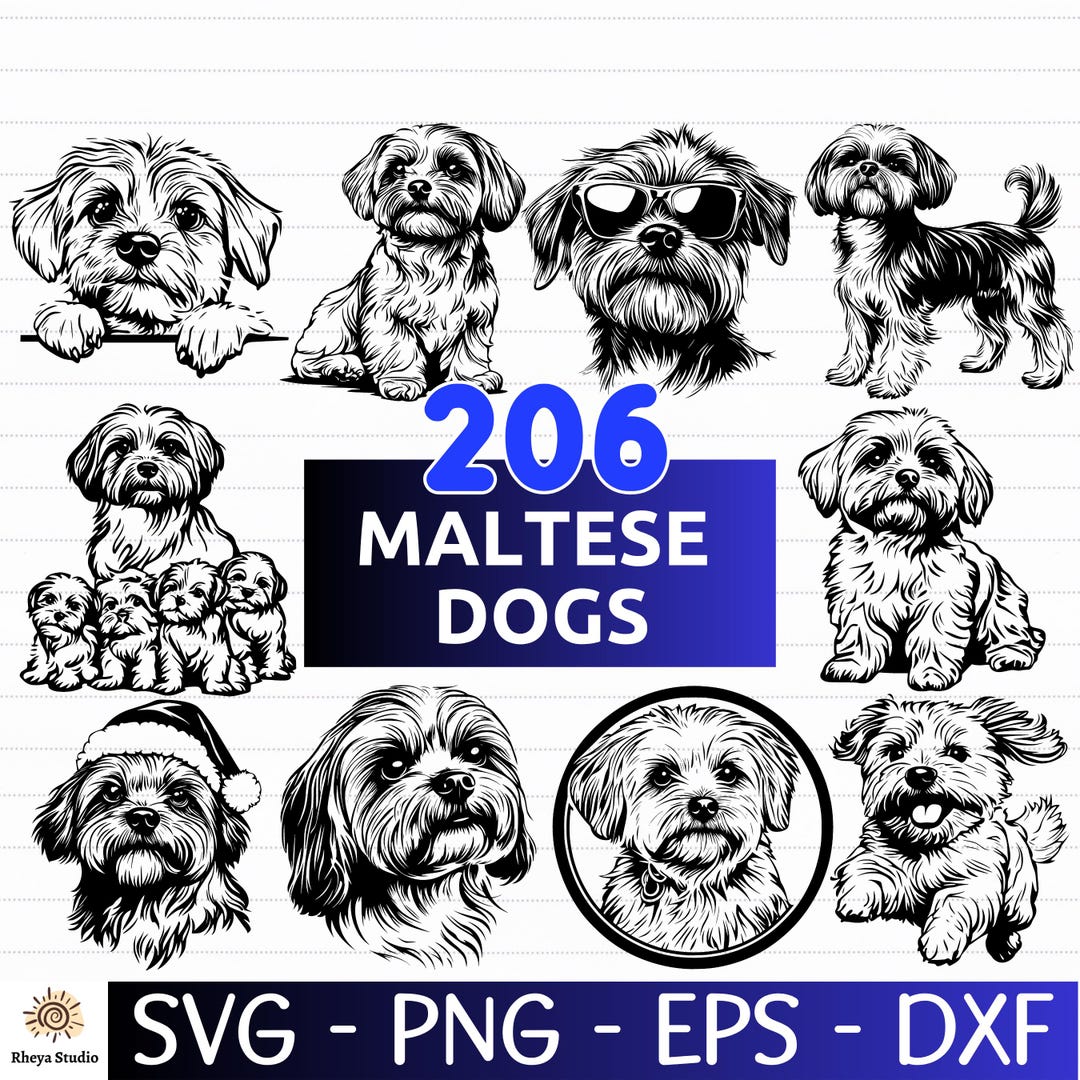 206 Maltese Dog SVG Bundle, Dog Vector, Dog Breed Silhouette - Digital ...