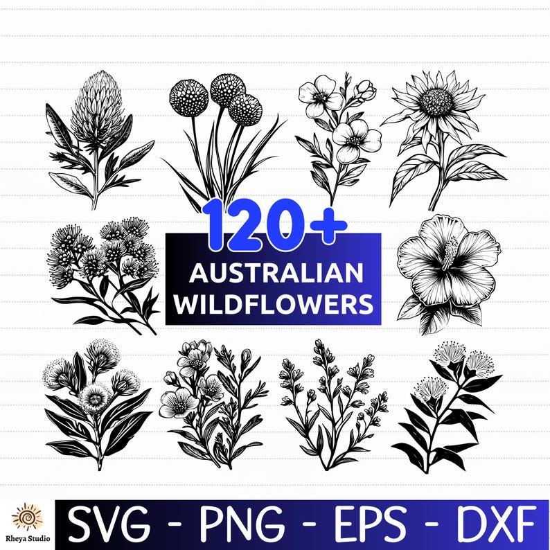 120+ Australian Wildflowers SVG Bundle | Native Floral Clipart ...