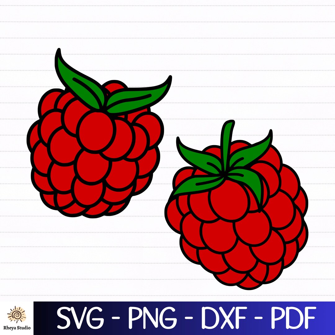 Raspberry Svg, Summer Fruit Svg Digital Download Svg, Dxf, Png, Pdf - Etsy