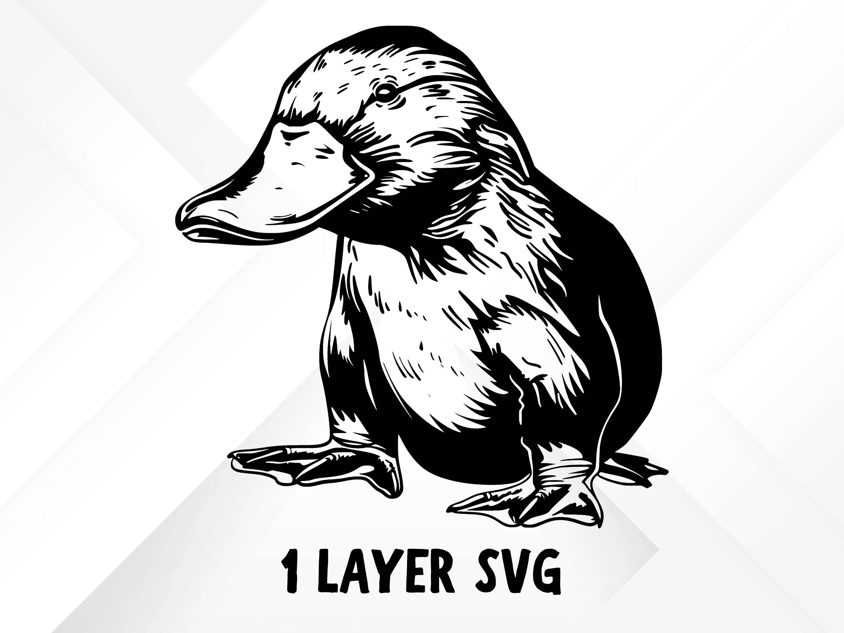 130+ Australian Animals SVG Bundle, Australian Wildlife, Australian ...