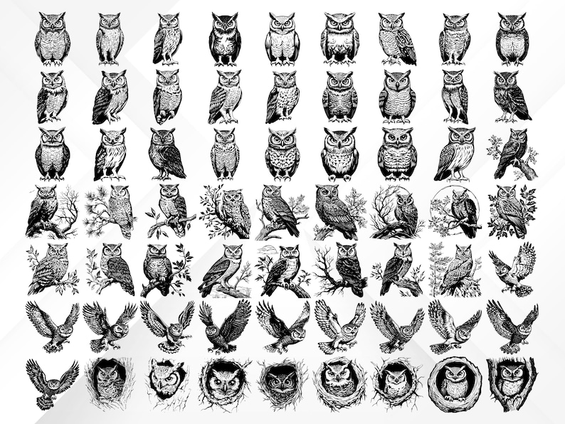 230+ Owls SVG Bundle | Cute and Whimsical Bird Clipart | Woodland ...