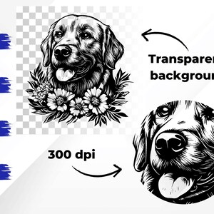 207 Labrador Retriever SVG Bundle | Hunting Dog Silhouettes & Clipart ...