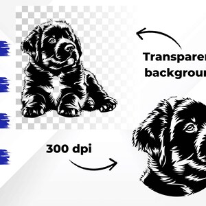 1100+ Dog SVG Bundle, 148 Dog Breeds, Dog Vector Graphic, Dog SVG ...