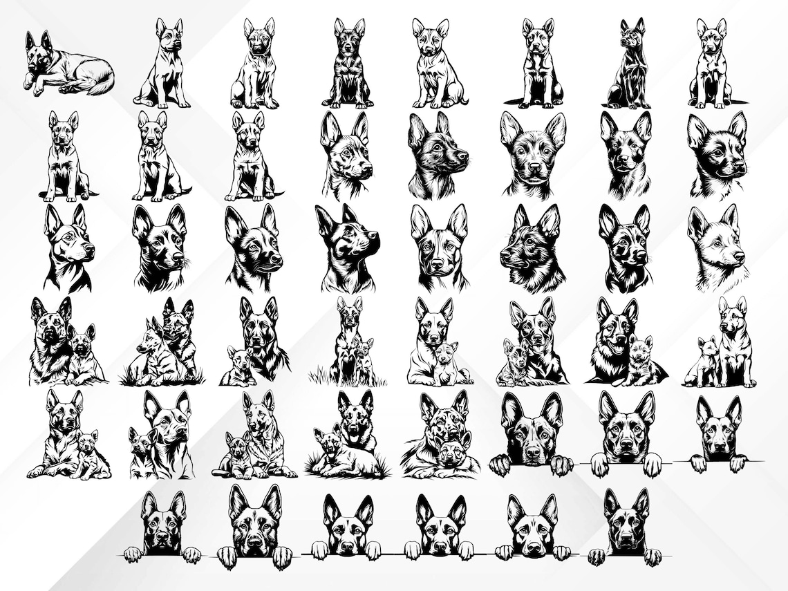 170+ Belgian Malinois Dog SVG Bundle, Dog Silhouette & Clipart Designs ...