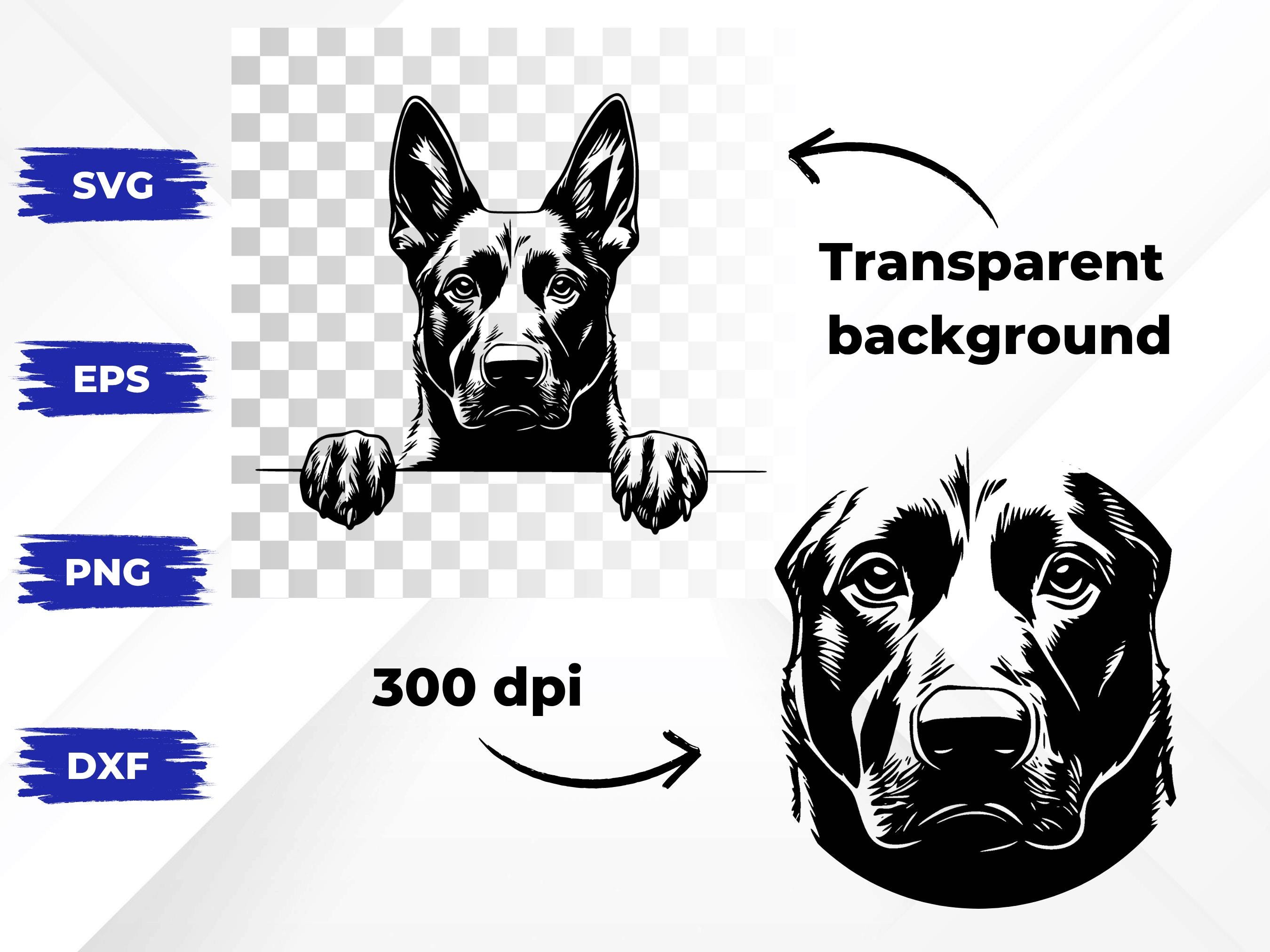 170+ Belgian Malinois Dog SVG Bundle, Dog Silhouette & Clipart Designs ...