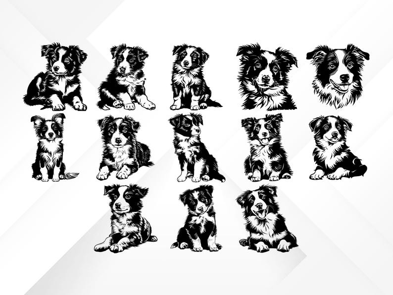 260+ Border Collie Dogs SVG Bundle | Herding Dog Silhouette | Pet ...