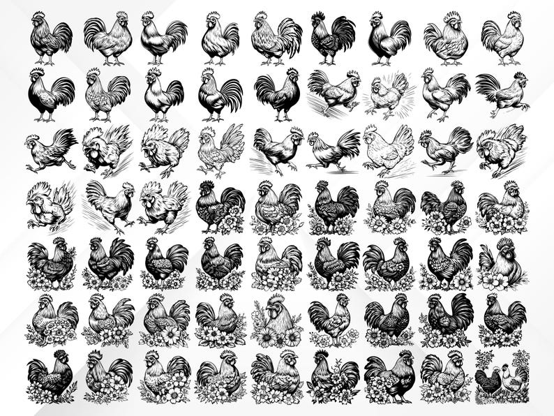 235 Chicken SVG Bundle, Chicken Vector, Hen Vector, Chicken PNG ...