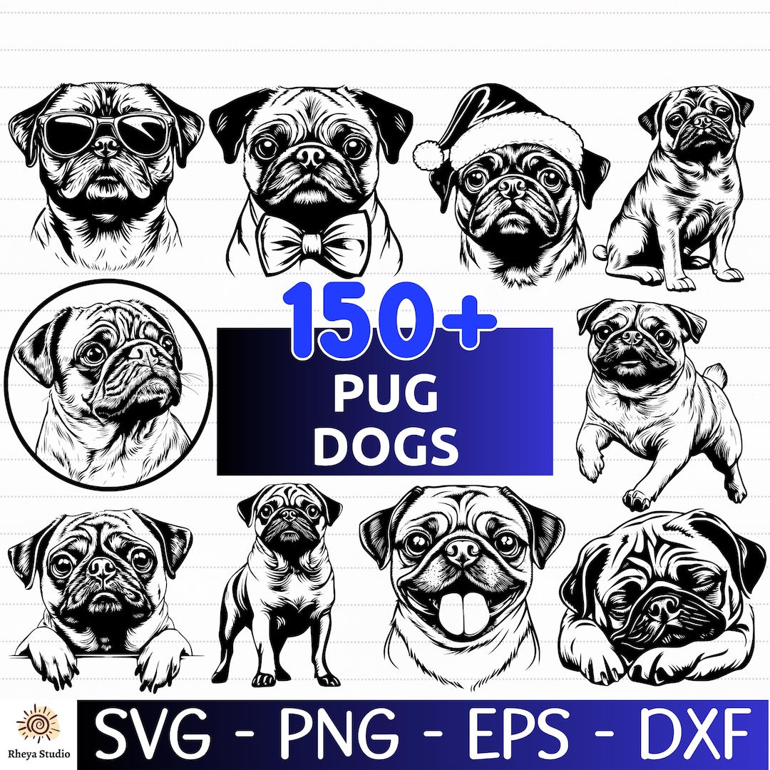 150+ Pug Dogs SVG Bundle, Dog Breed, Pug Vector, Dog Vector - Digital ...