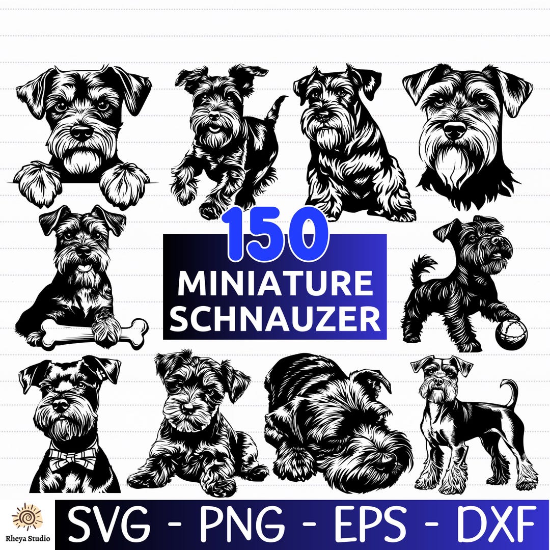 150 Miniature schnauzer Dog SVG Bundle, Mini schnauzer SVG - Digital ...