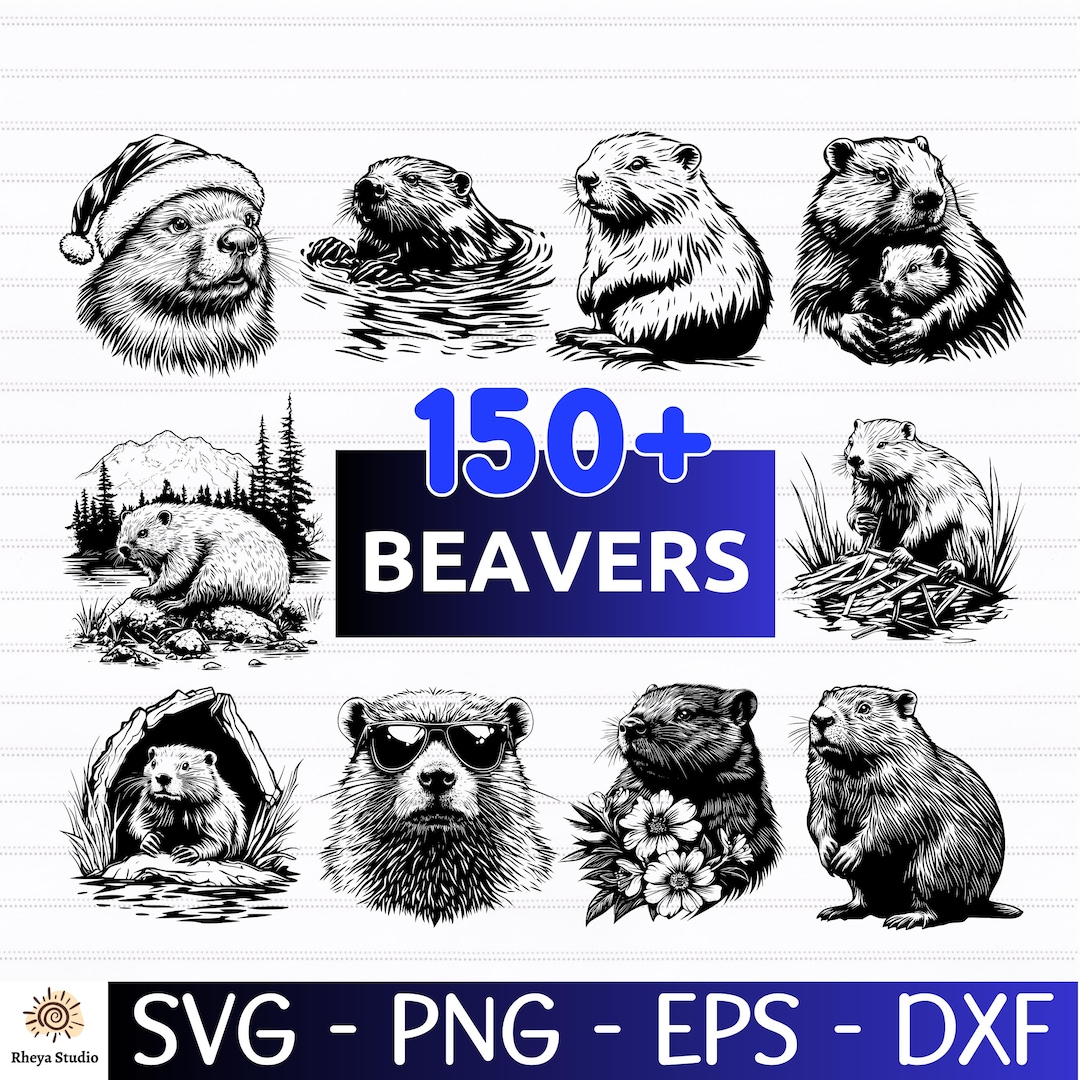 160+ Beavers SVG Bundle | Cute Beaver Svg Png Eps Dxf | Cricut and ...