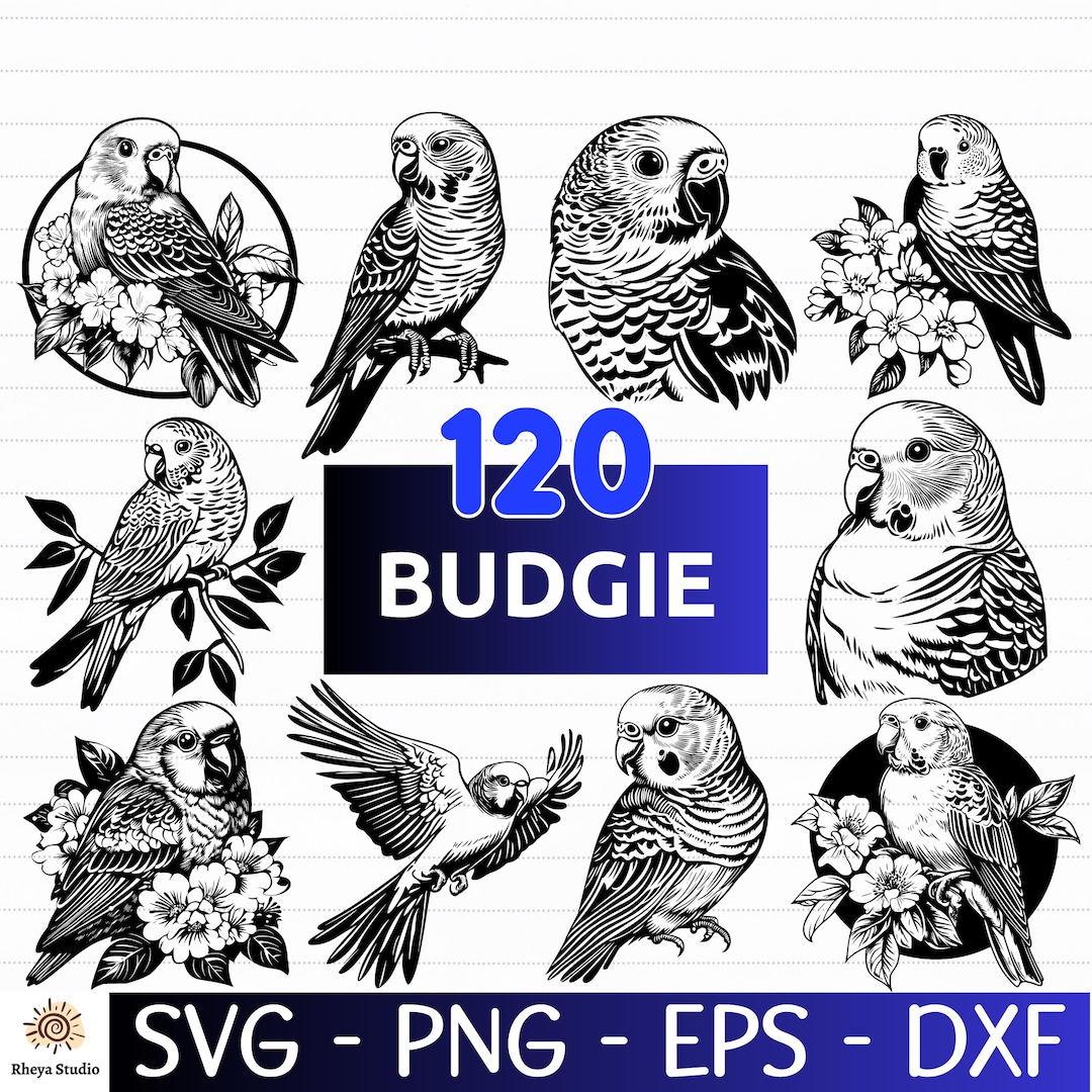 120 Budgie Bird SVG Bundle | Parakeet Silhouettes and Clipart | Digital ...