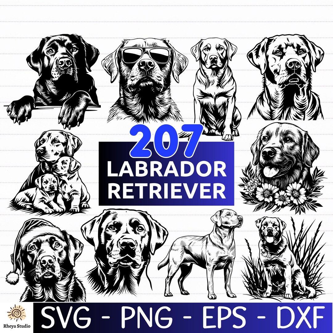 207 Labrador Retriever SVG Bundle | Hunting Dog Silhouettes & Clipart ...