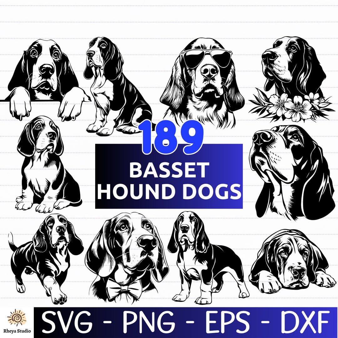 180+ Basset Hound Dog SVG Bundle, Dog Breed, Dog Vector - Digital ...