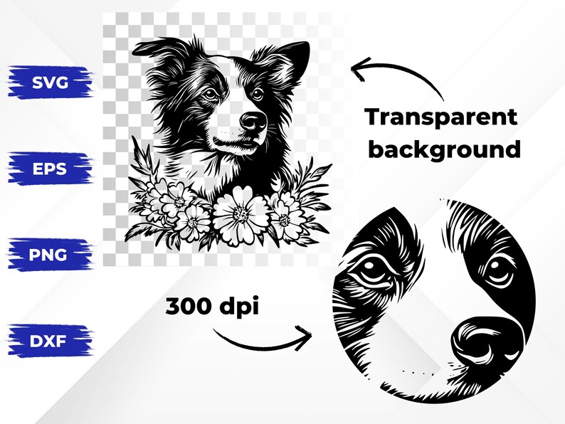 260+ Border Collie Dogs SVG Bundle | Herding Dog Silhouette | Pet ...