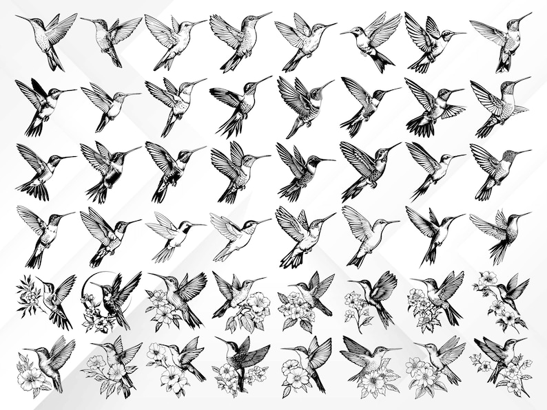 110 Hummingbird SVG Bundle | Bird Silhouettes and Clipart | Digital Cut ...