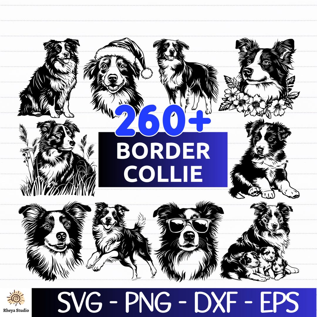 260+ Border Collie Dogs SVG Bundle | Herding Dog Silhouette | Pet ...