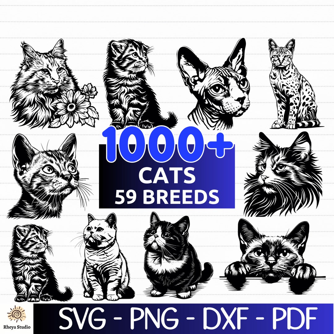 1000+ Cat Portraits SVG Bundle, Cats Full Body SVG Bundle, Cat Breeds ...