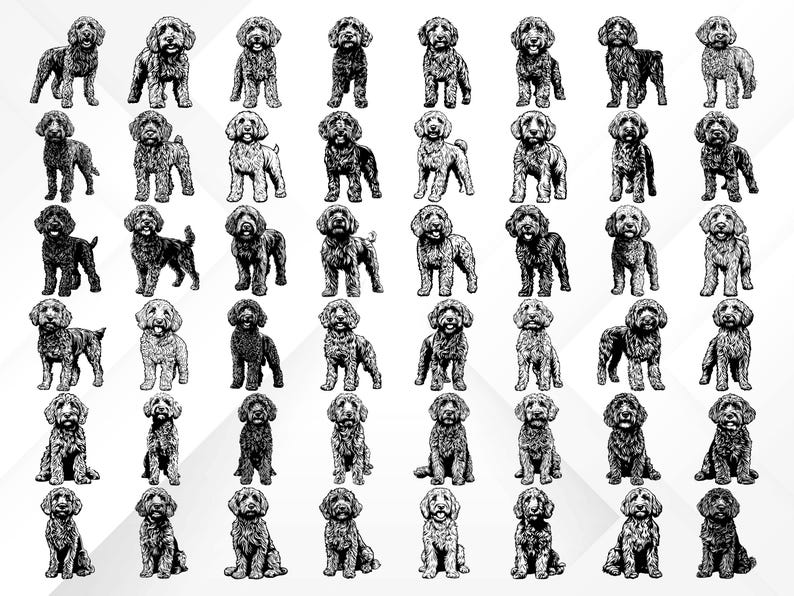 220 Labradoodle Dog SVG Bundle, Labradoodle Dog Silhouette, Labradoodle ...