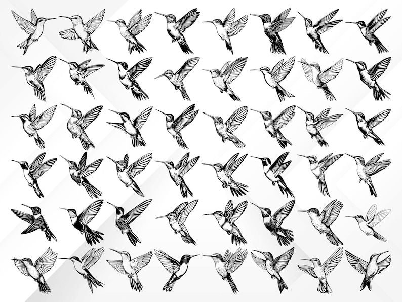 110 Hummingbird SVG Bundle | Bird Silhouettes and Clipart | Digital Cut ...