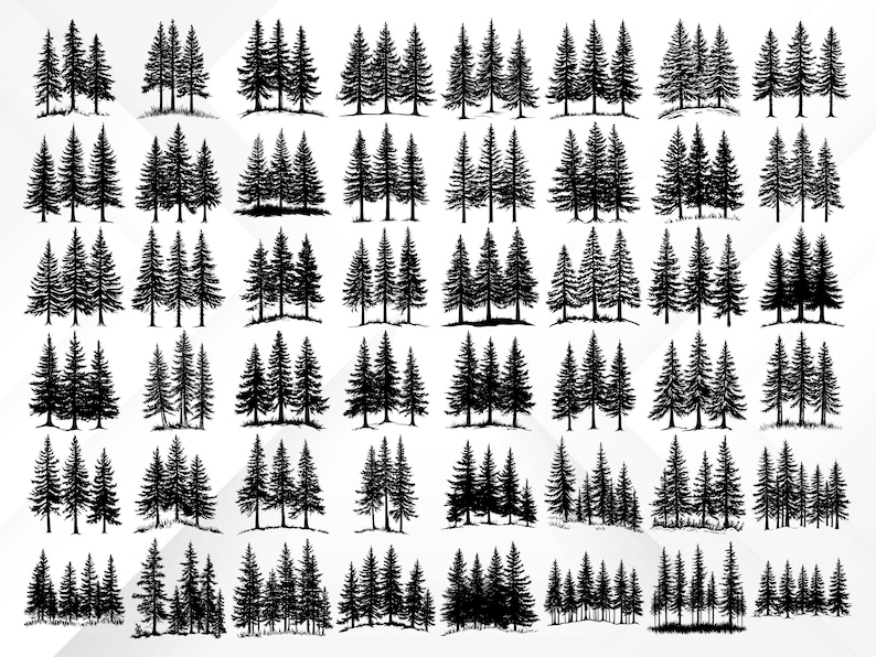 211 Pine Tree SVG Bundle | Evergreen Tree Clipart, Forest Silhouettes ...