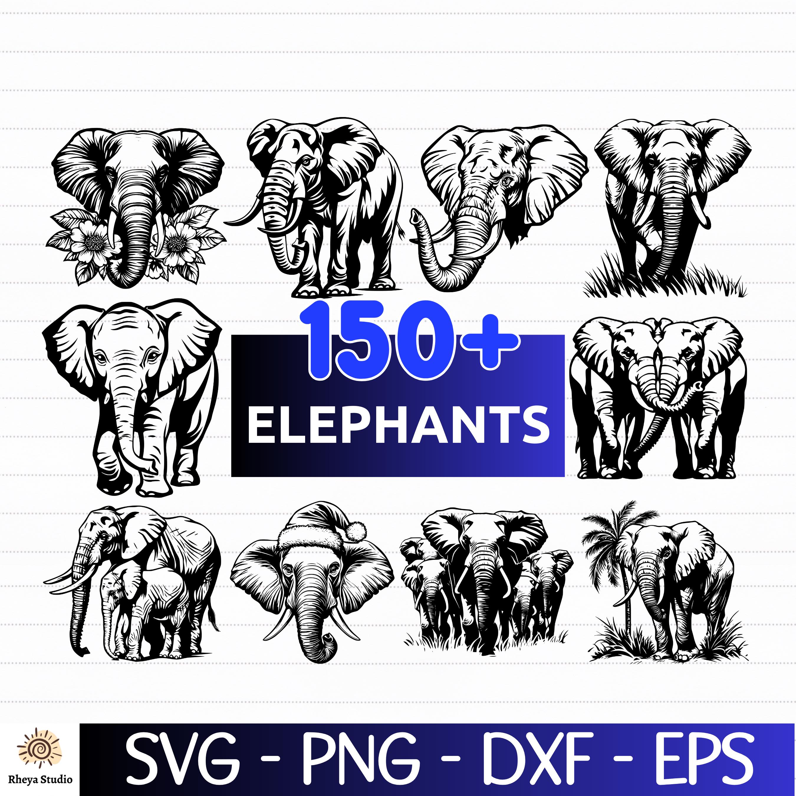 150+ Elephants SVG Bundle | Elephant SVG, Wildlife Designs, Animal Cut ...