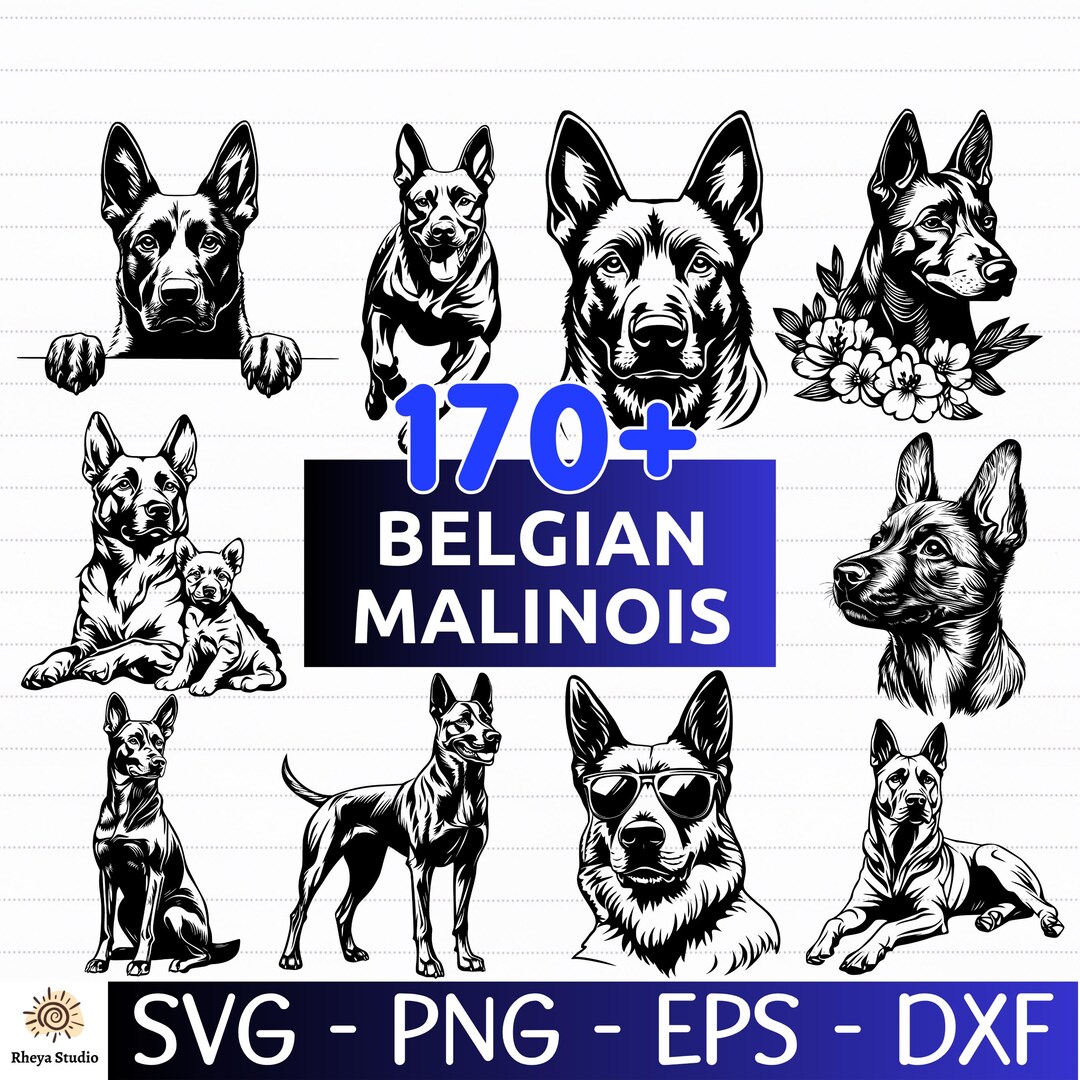 170+ Belgian Malinois Dog SVG Bundle, Dog Silhouette & Clipart Designs ...