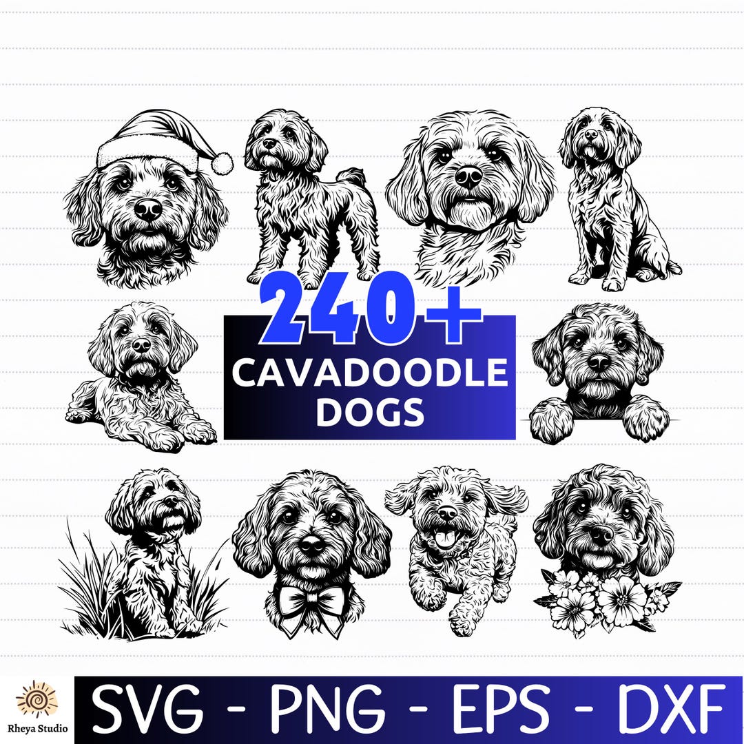 240+ Cavadoodle Dogs SVG Bundle | Doodle Dog Silhouettes, Cute Faces ...