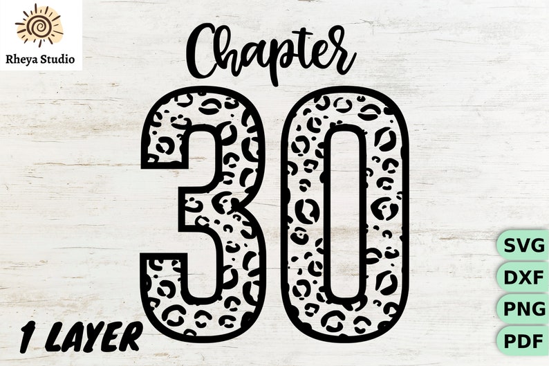 Leopard Chapter 30 Svg, 30th Birthday Svg, Thirty Birthday Svg ...