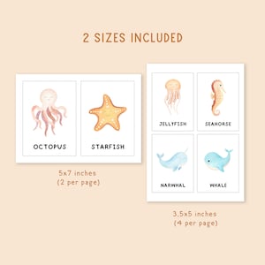 8 Ocean Animals Flashcards, Sea Animals, Pre-school Cards, Montessori ...