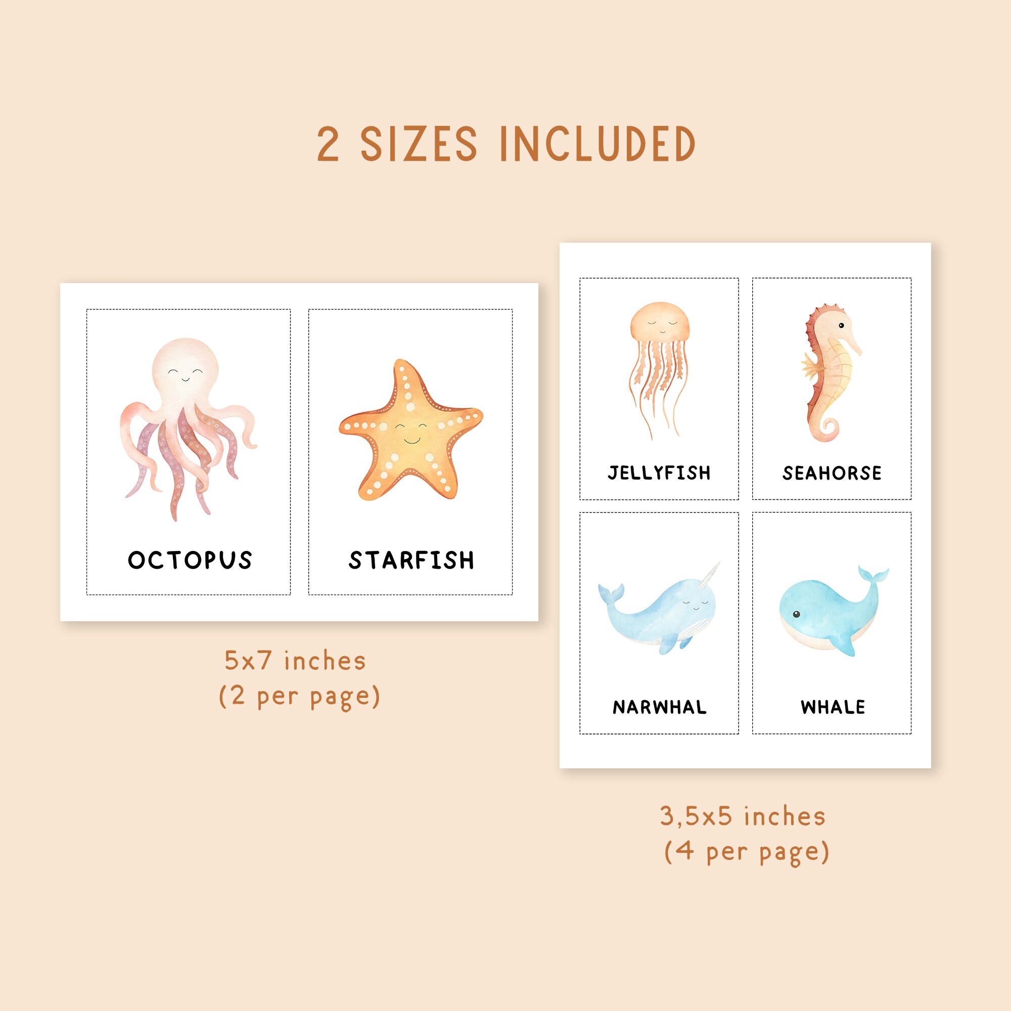 8 Ocean Animals Flashcards, Sea Animals, Pre-school Cards, Montessori ...