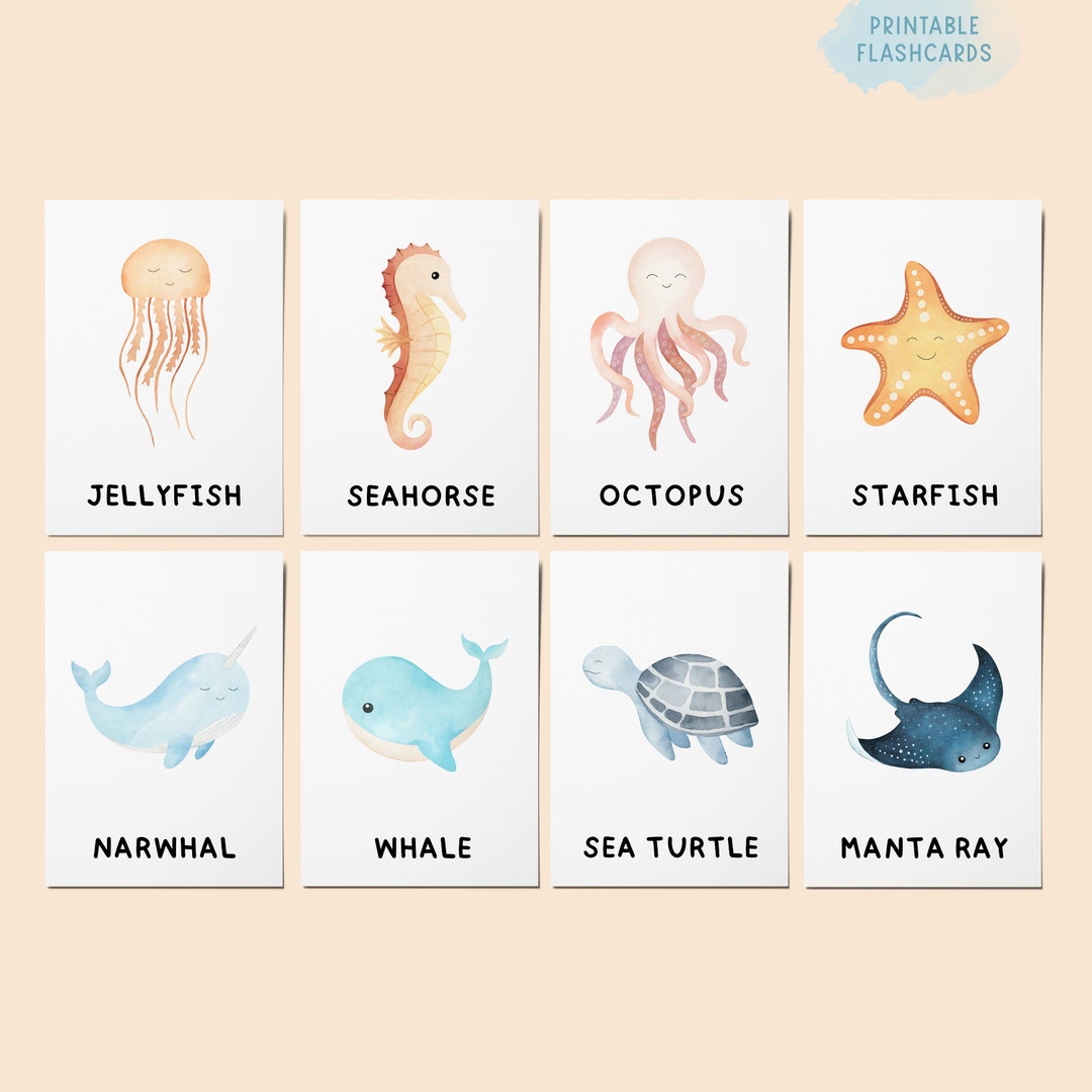 8 Ocean Animals Flashcards, Sea Animals, Pre-school Cards, Montessori ...